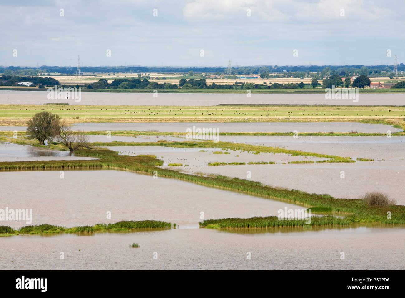 Managed retreat at Alkborough on the Humber Estuary to take the ...