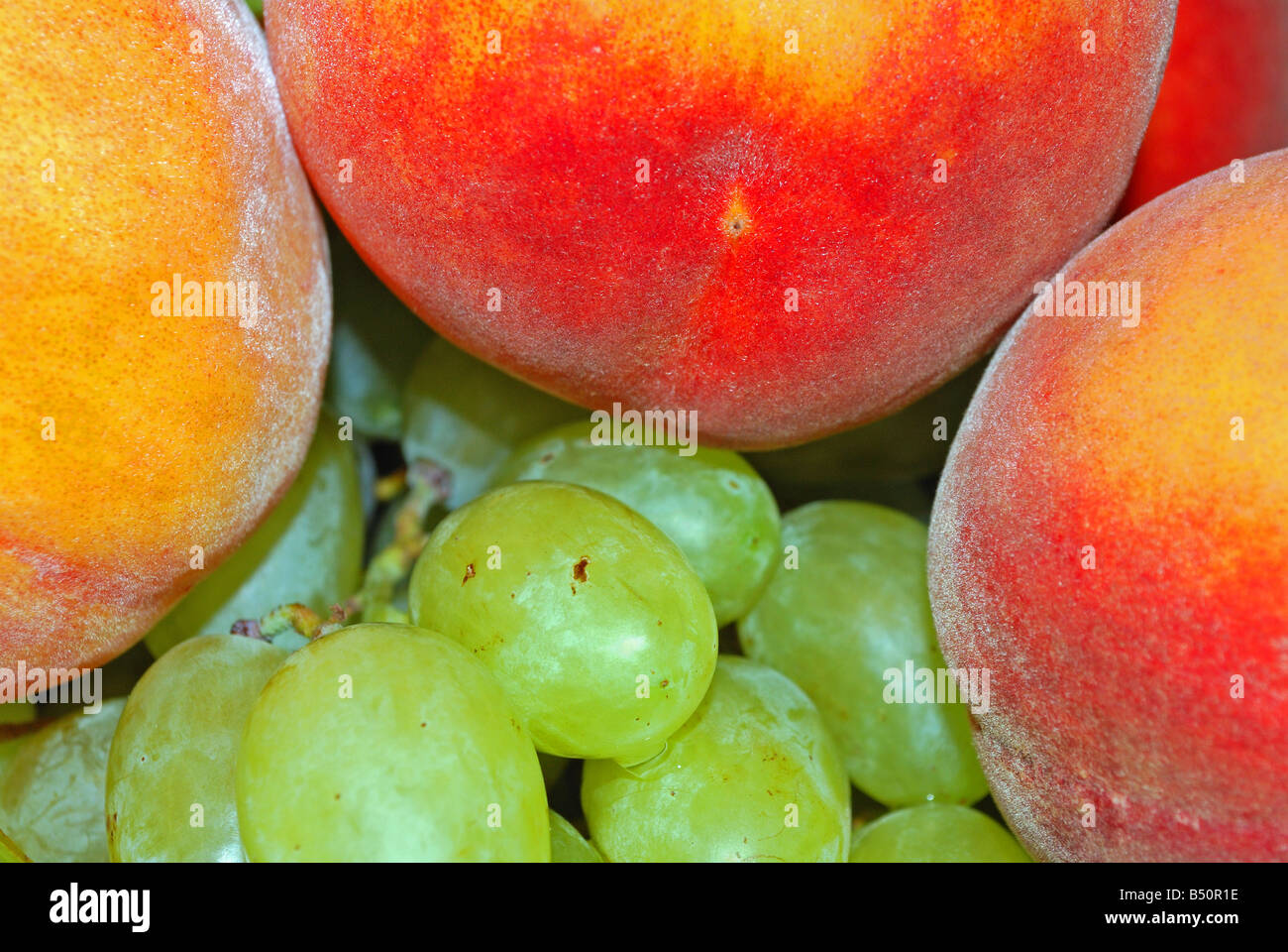 appetizing bunch of green grapes and same peach green and red color ...