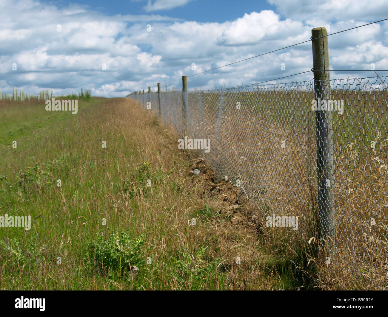 Rabbit proof fence hi-res stock photography and images - Alamy