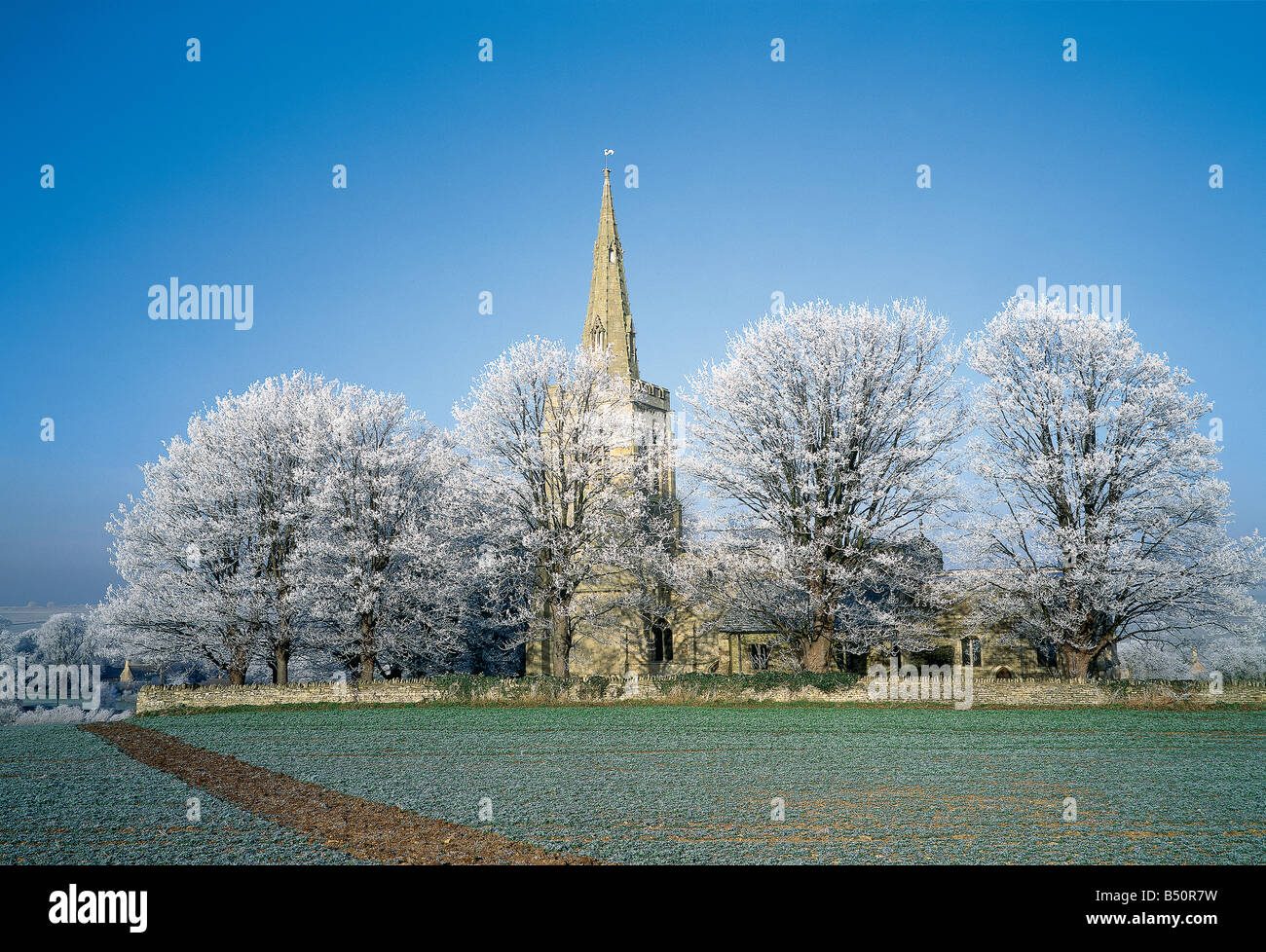English landscape trees hi-res stock photography and images - Alamy