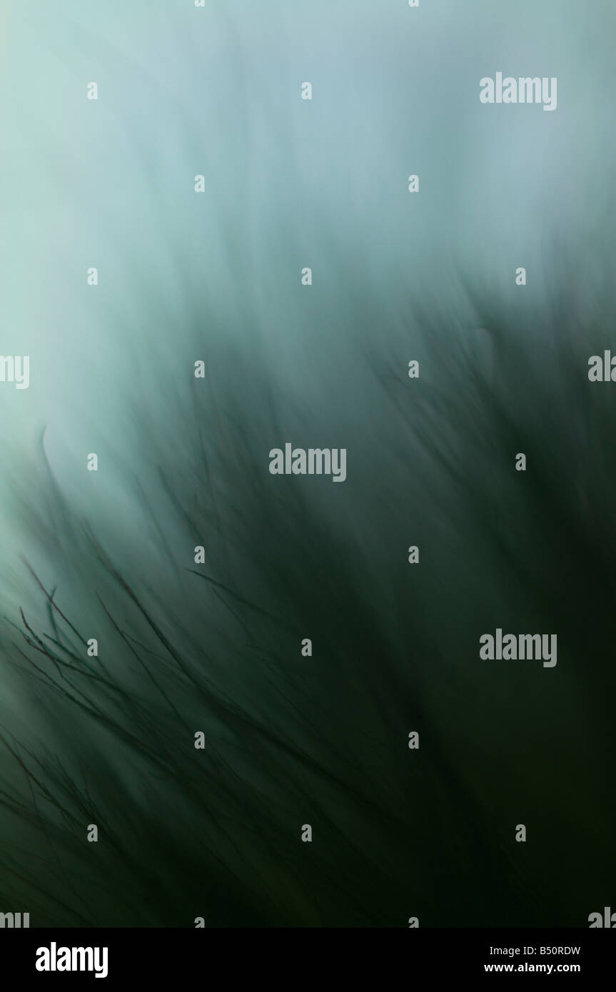 Marsh mist uk morning hi-res stock photography and images - Alamy