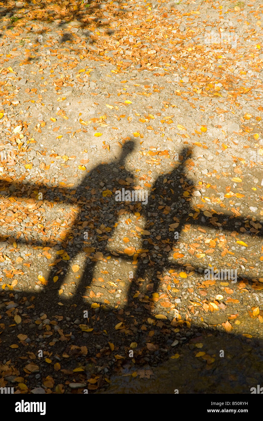 Shadow of two people standing on a bridge in Autumn Stock Photo - Alamy