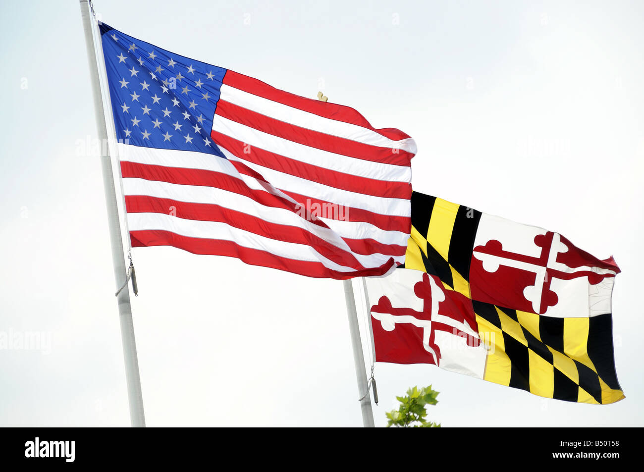 Maryland flag hi-res stock photography and images - Alamy