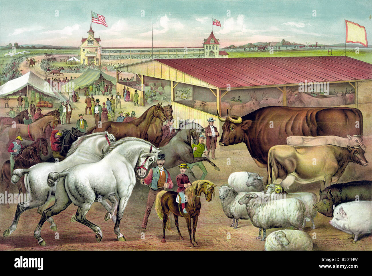 Sights of the animal market 1888 Stock Photo - Alamy