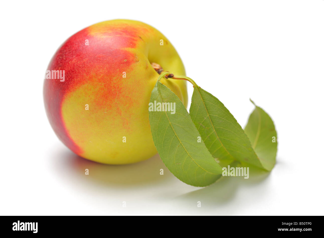 Peach with stalk and leaf hi-res stock photography and images - Alamy