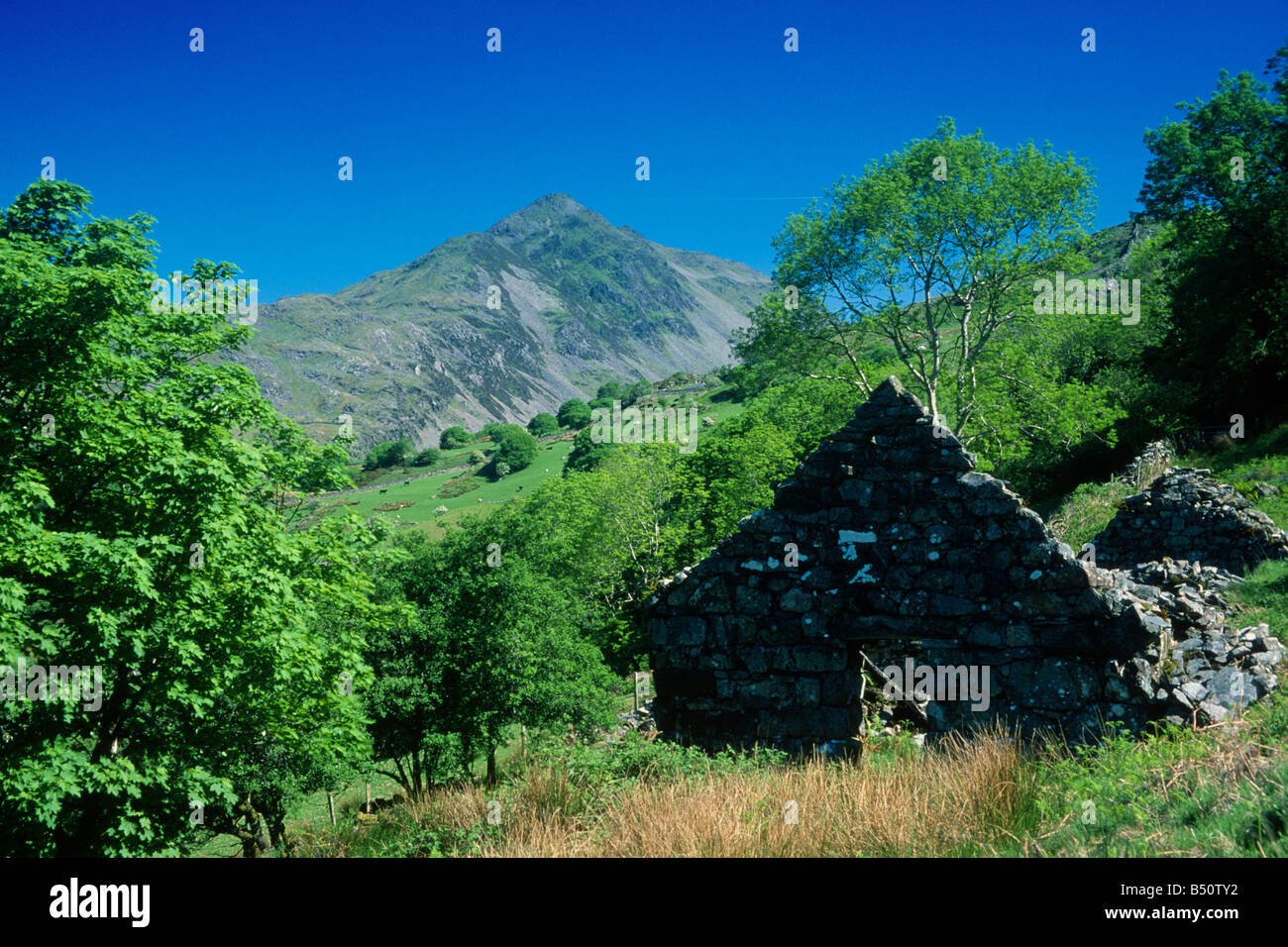 Cnicht from Croesor Valley Snowdonia North Wales Stock Photo - Alamy