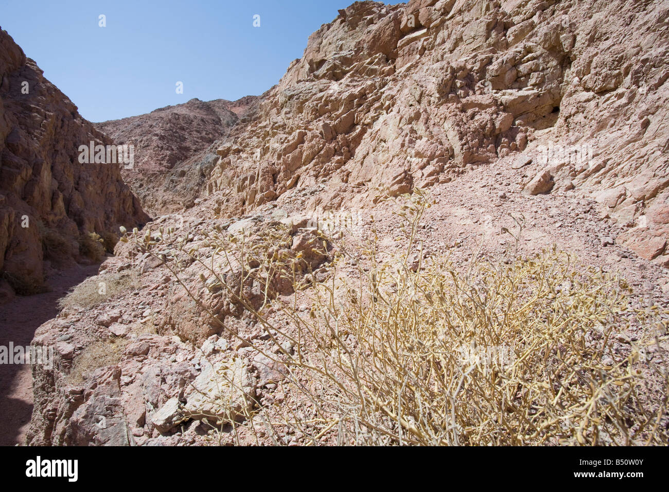 Gully erosion hi-res stock photography and images - Alamy