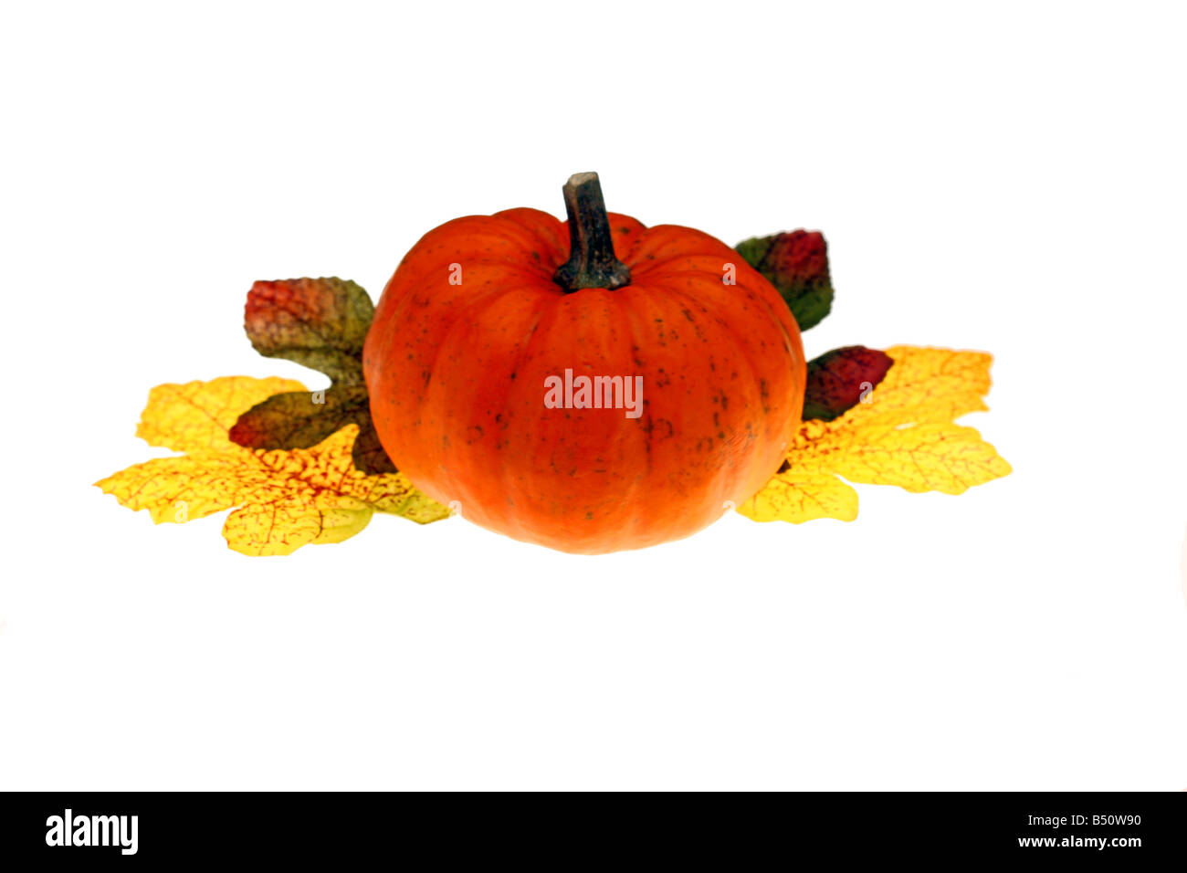 Orange autumn leaves halloween Cut Out Stock Images & Pictures - Alamy