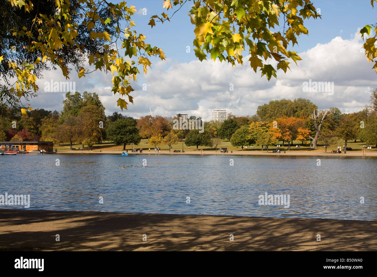 the serpentine lake hyde park autumn royal park london england uk gb ...