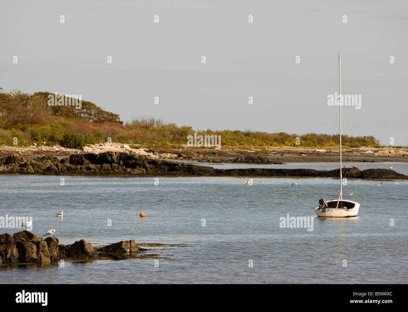 Sailboat docked in a harbor Stock Photo - Alamy