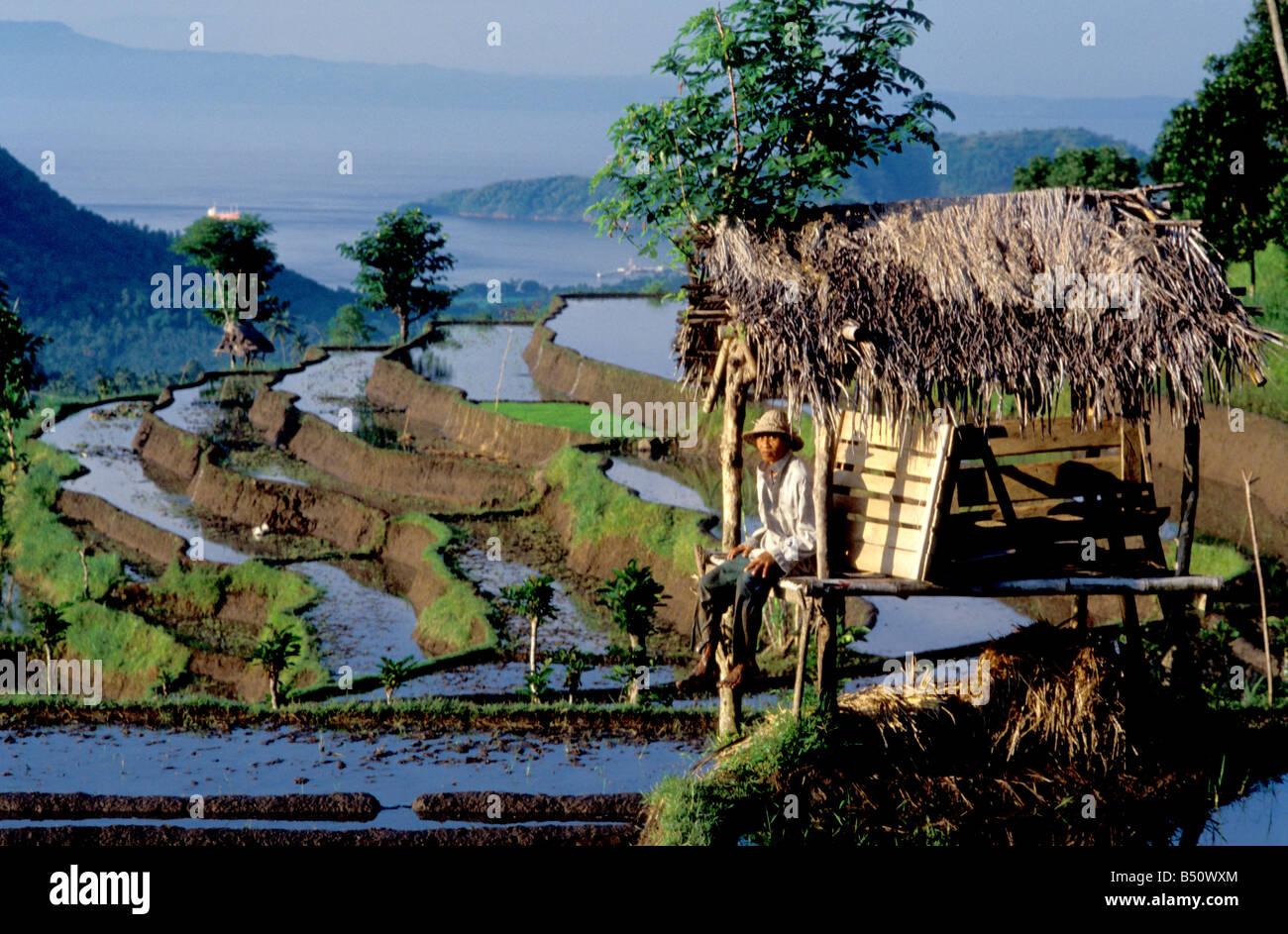 rice terraces putung hill manggis east bali indonesia Stock Photo - Alamy