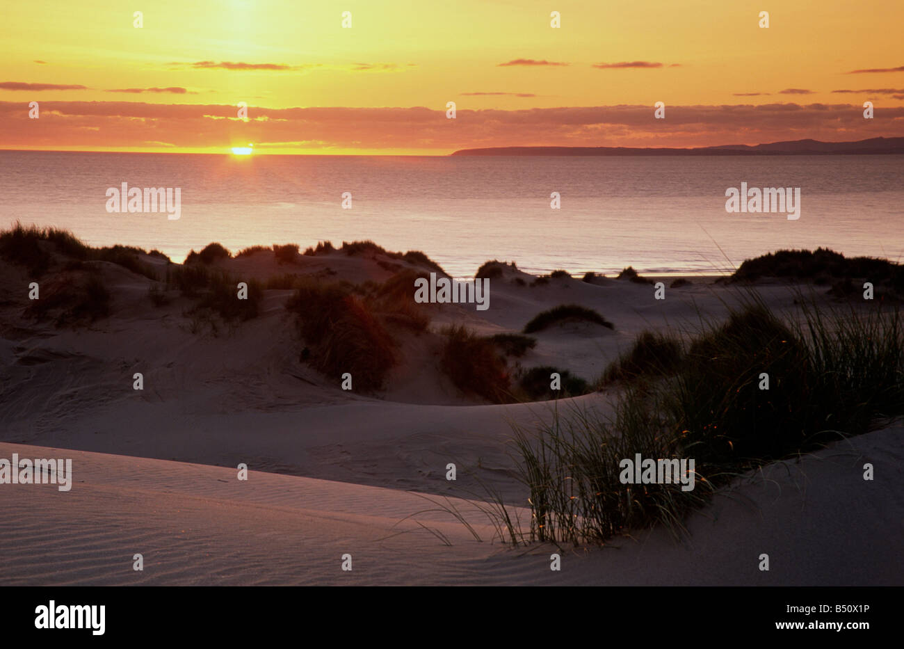 Shell island wales hi-res stock photography and images - Alamy