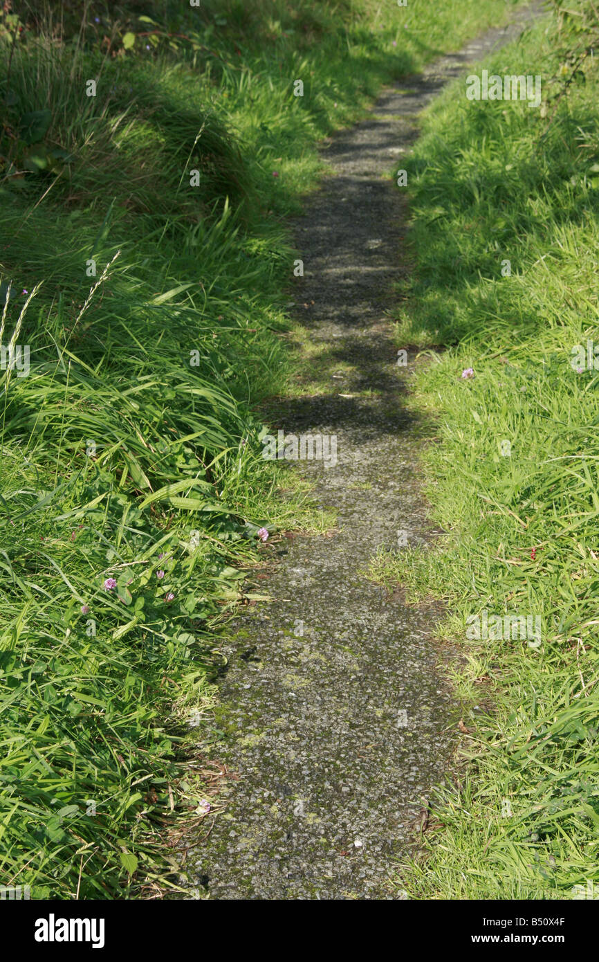 empty country lane track path in sun outdoors Stock Photo - Alamy