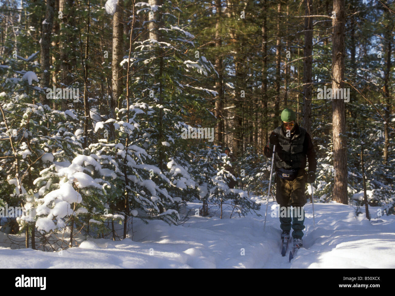 Vanderbilt Michigan A cross country skier on the Shingle Mill Pathway ...