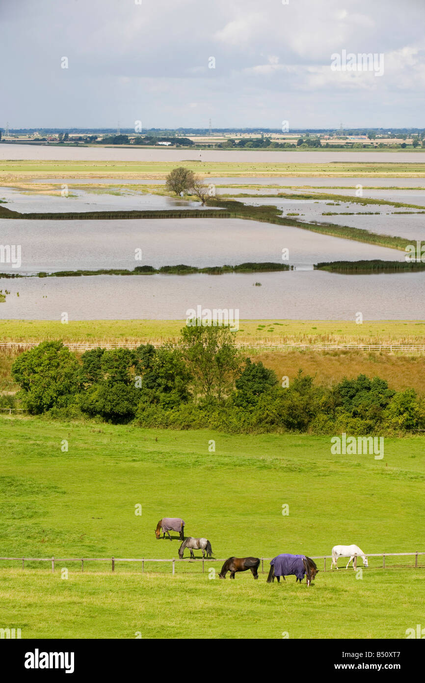 Managed retreat at Alkborough on the Humber estuary the largest managed ...