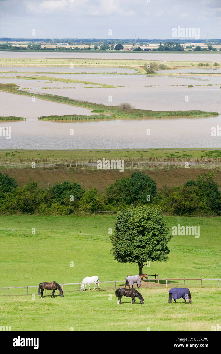 Managed retreat at Alkborough on the Humber estuary the largest managed ...