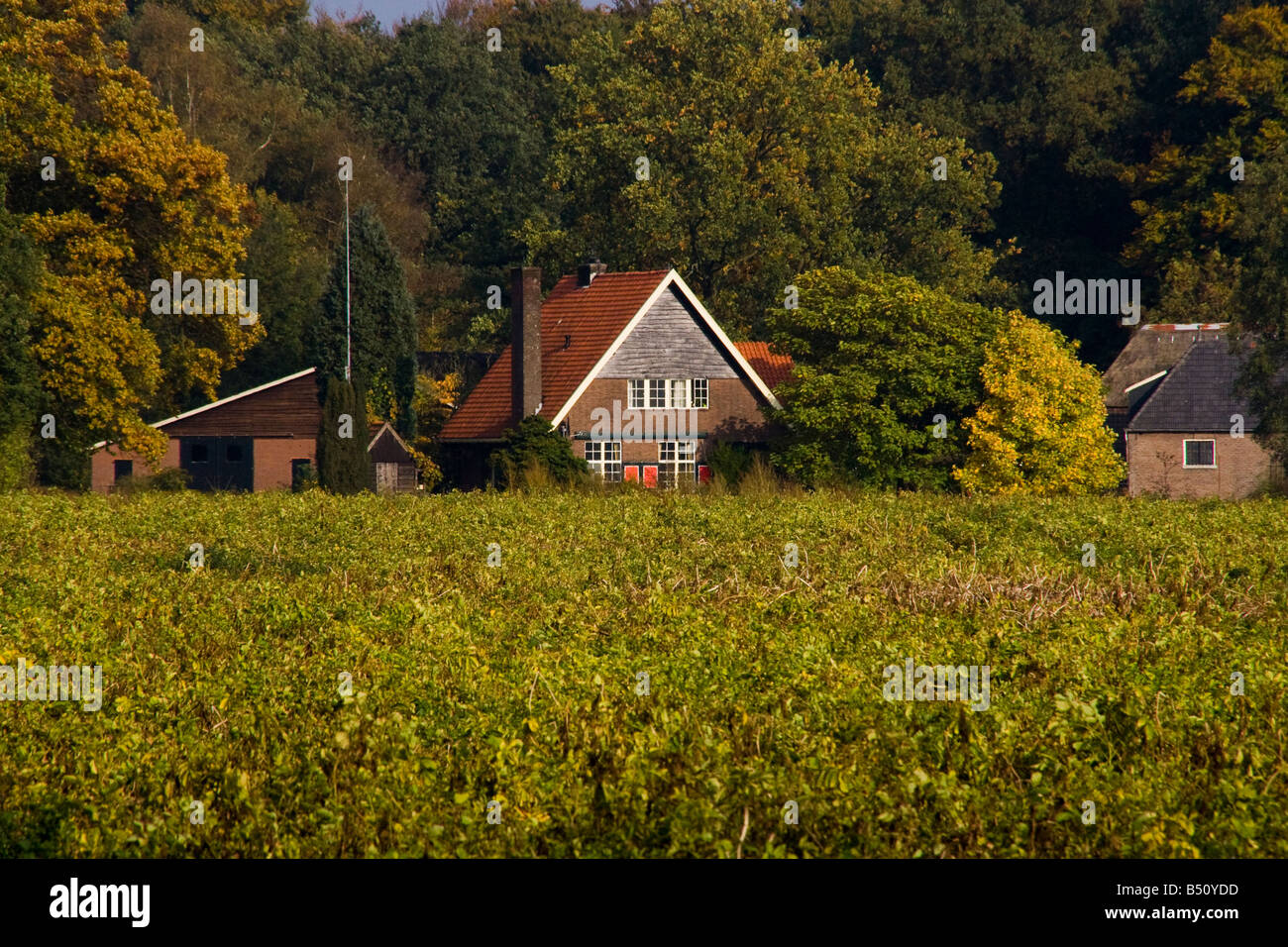 Dutch lowlands hi-res stock photography and images - Alamy