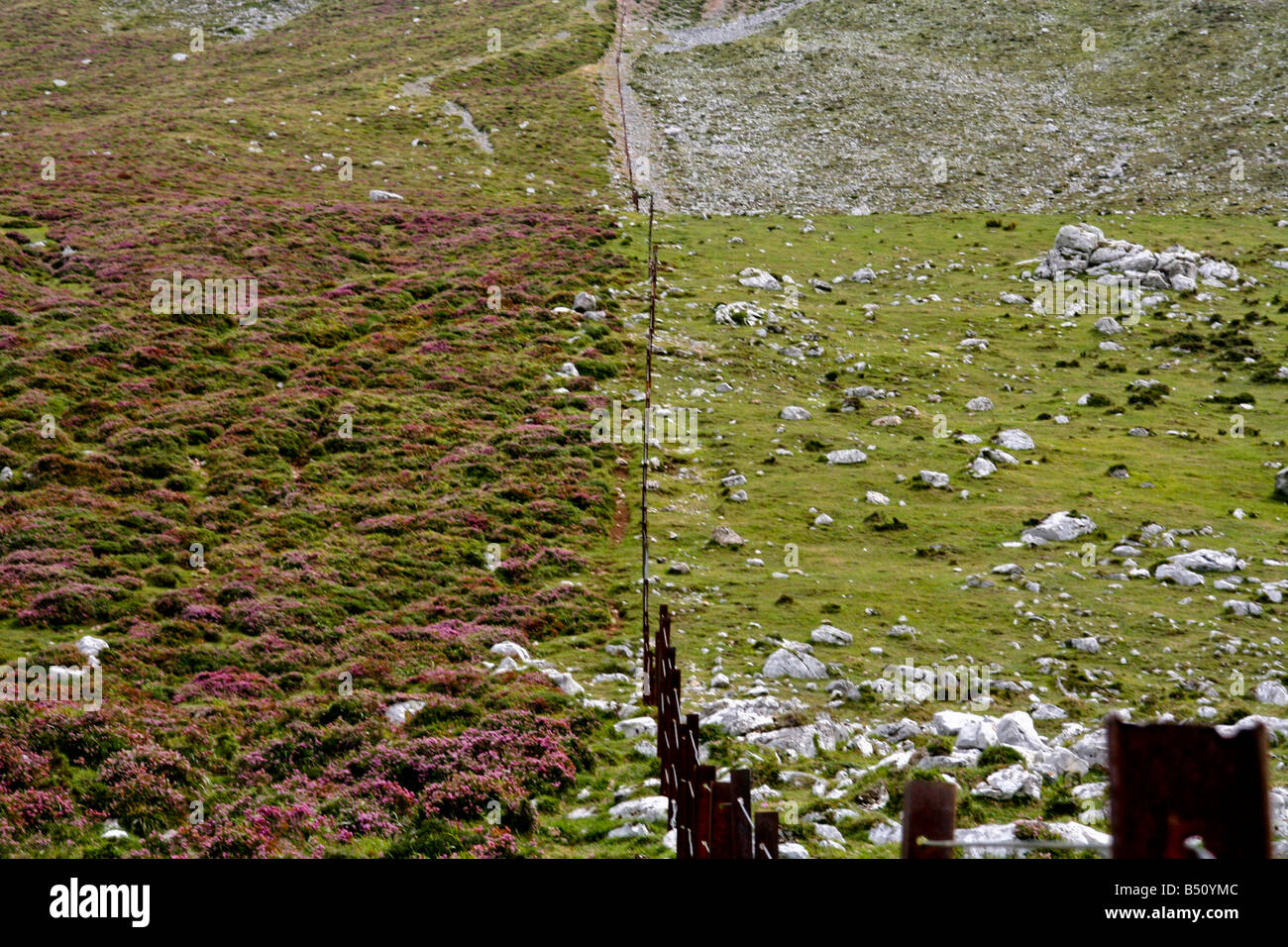 Overgrazing land hi-res stock photography and images - Alamy
