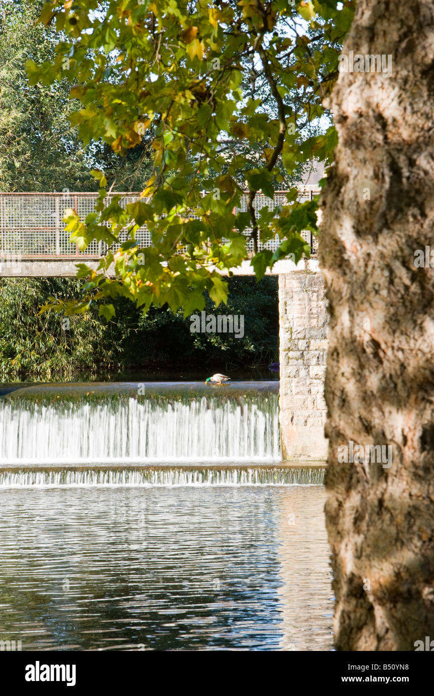 Weir on a river hi-res stock photography and images - Alamy