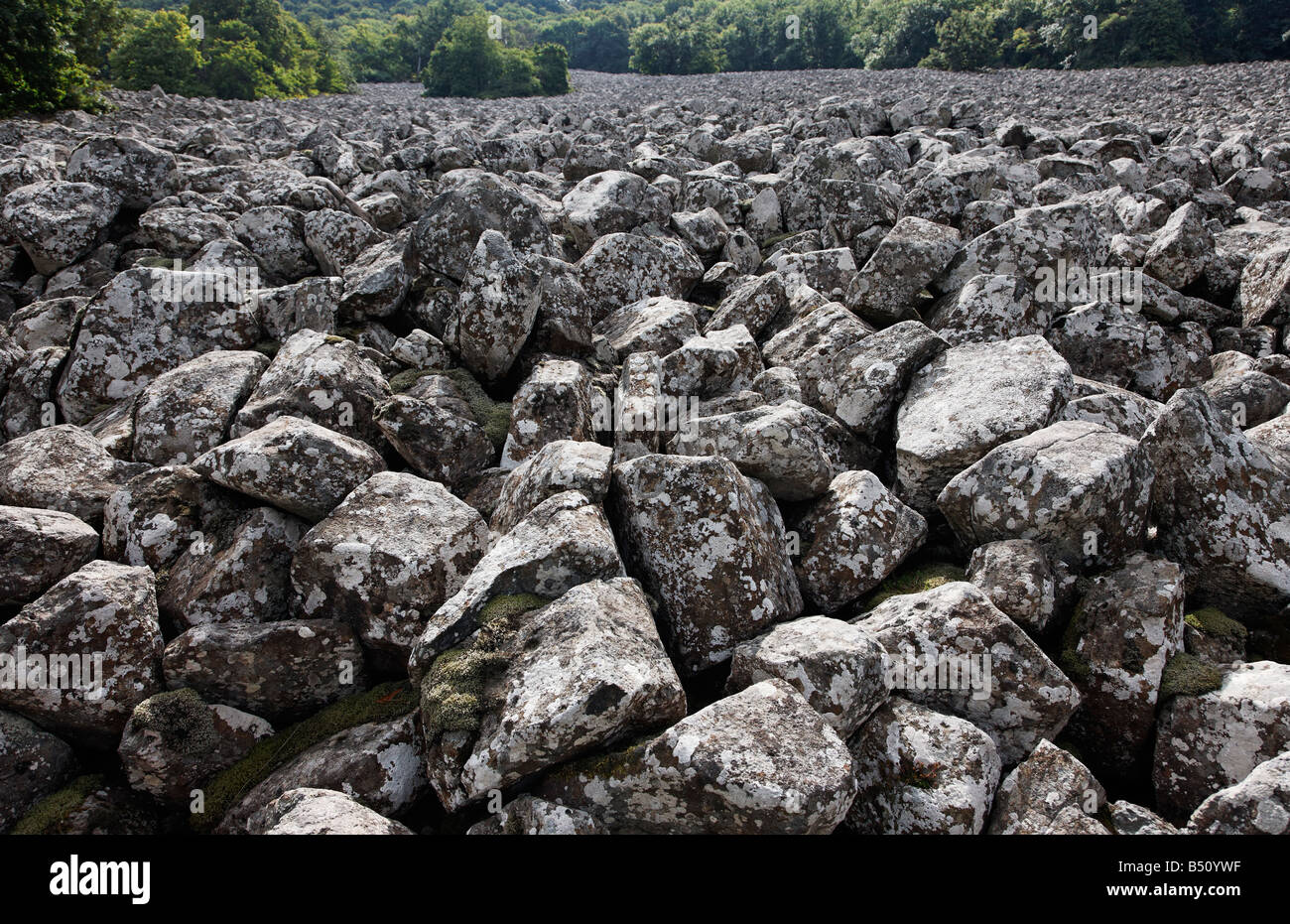 Stone boulders of a historic basalt rock flow La Coulée de Lave, St ...
