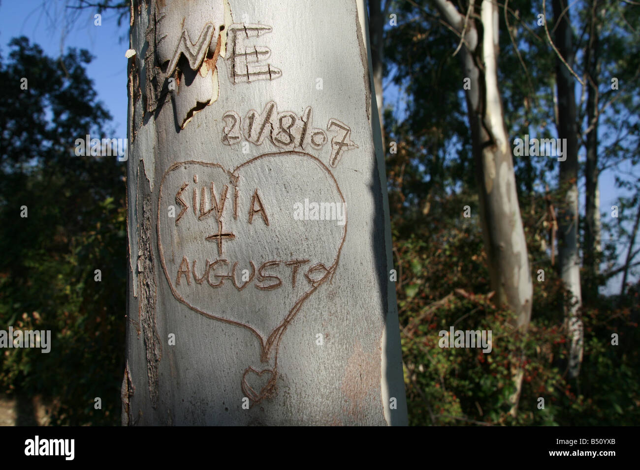 Lovers names on tree hi-res stock photography and images - Alamy