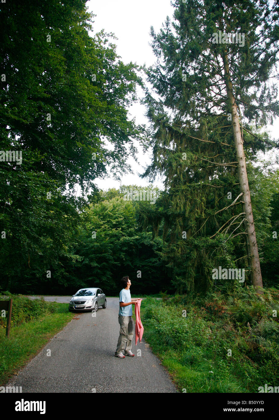 France alsace forest hi-res stock photography and images - Alamy