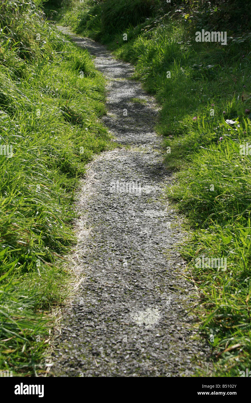 empty country lane track path in sun outdoors Stock Photo - Alamy