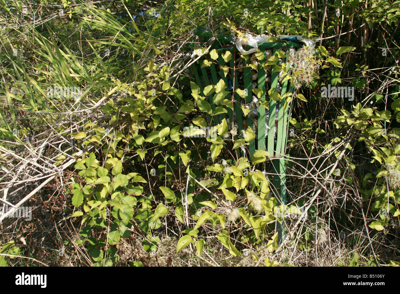 full litter rubbish bin in park in countryside Stock Photo - Alamy