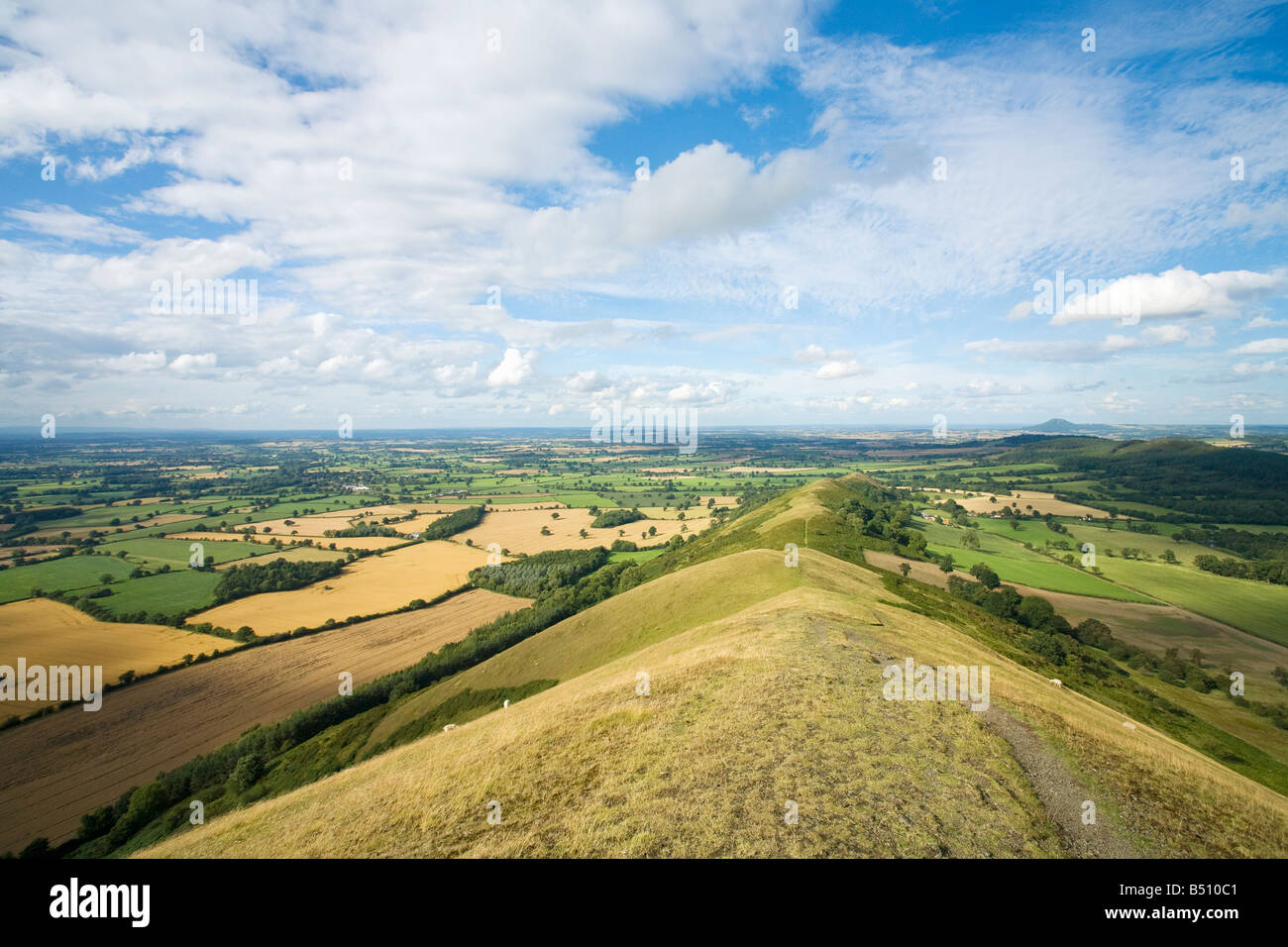 Shropshire plain looking to the Wrekin from Lawley Hill in Church ...