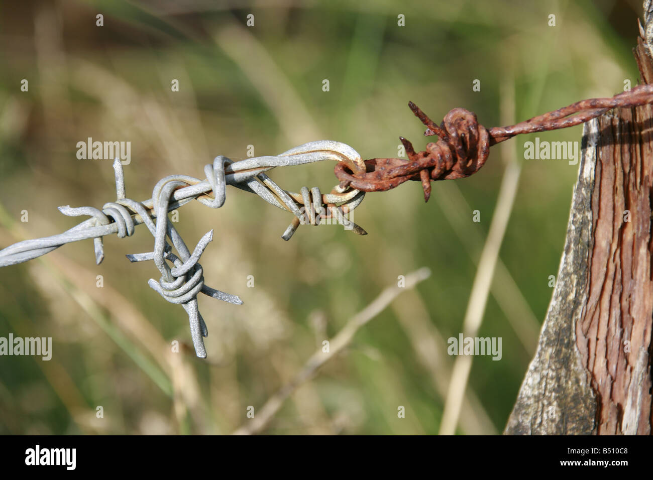 old rusted barbed wire fence in countryside Stock Photo - Alamy
