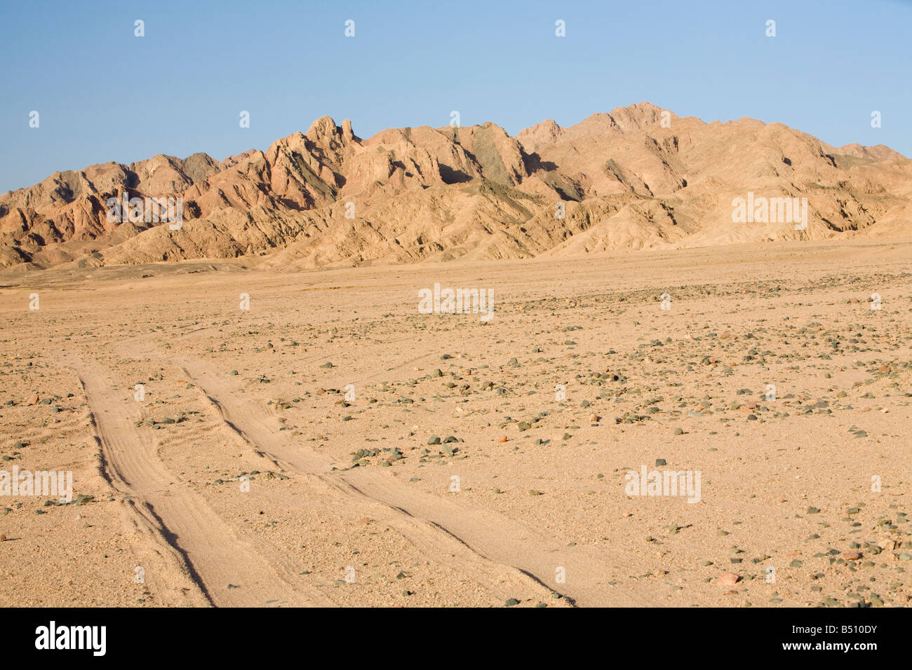 Sinai desert hi-res stock photography and images - Alamy
