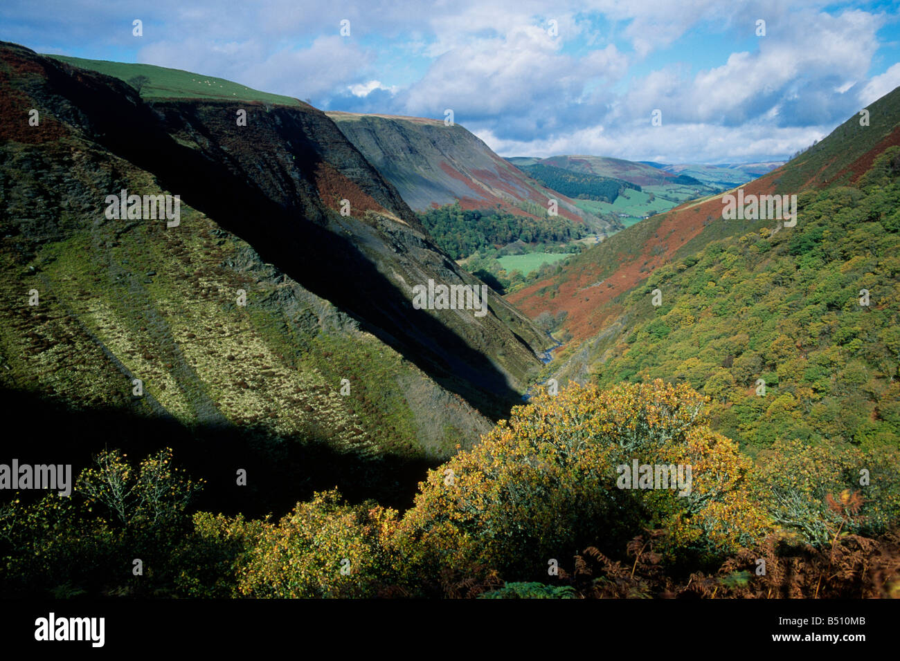 Afon Twymyn gorge Dylife Powys Mid Wales Stock Photo - Alamy