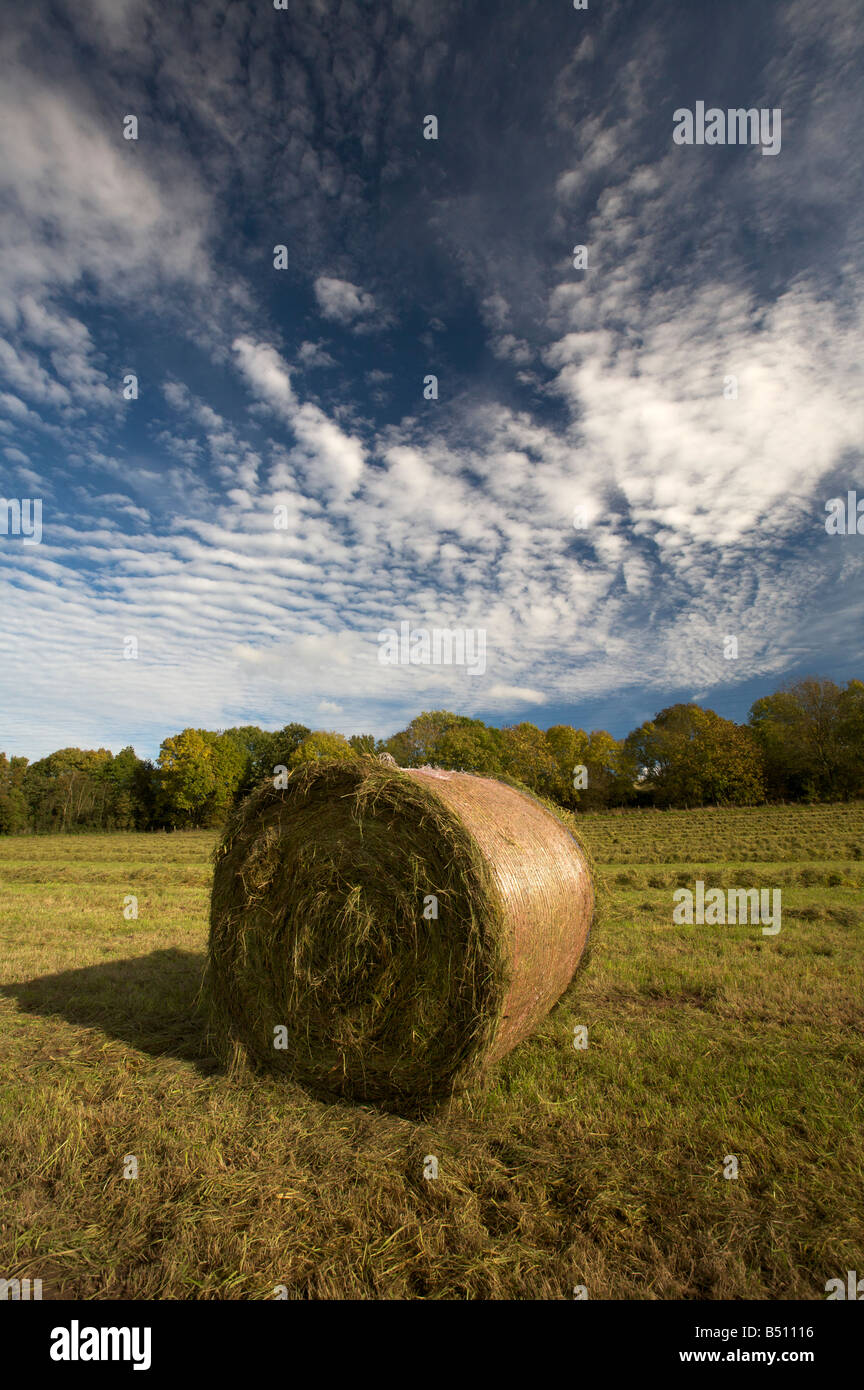 Farming round bale silage hi-res stock photography and images - Alamy