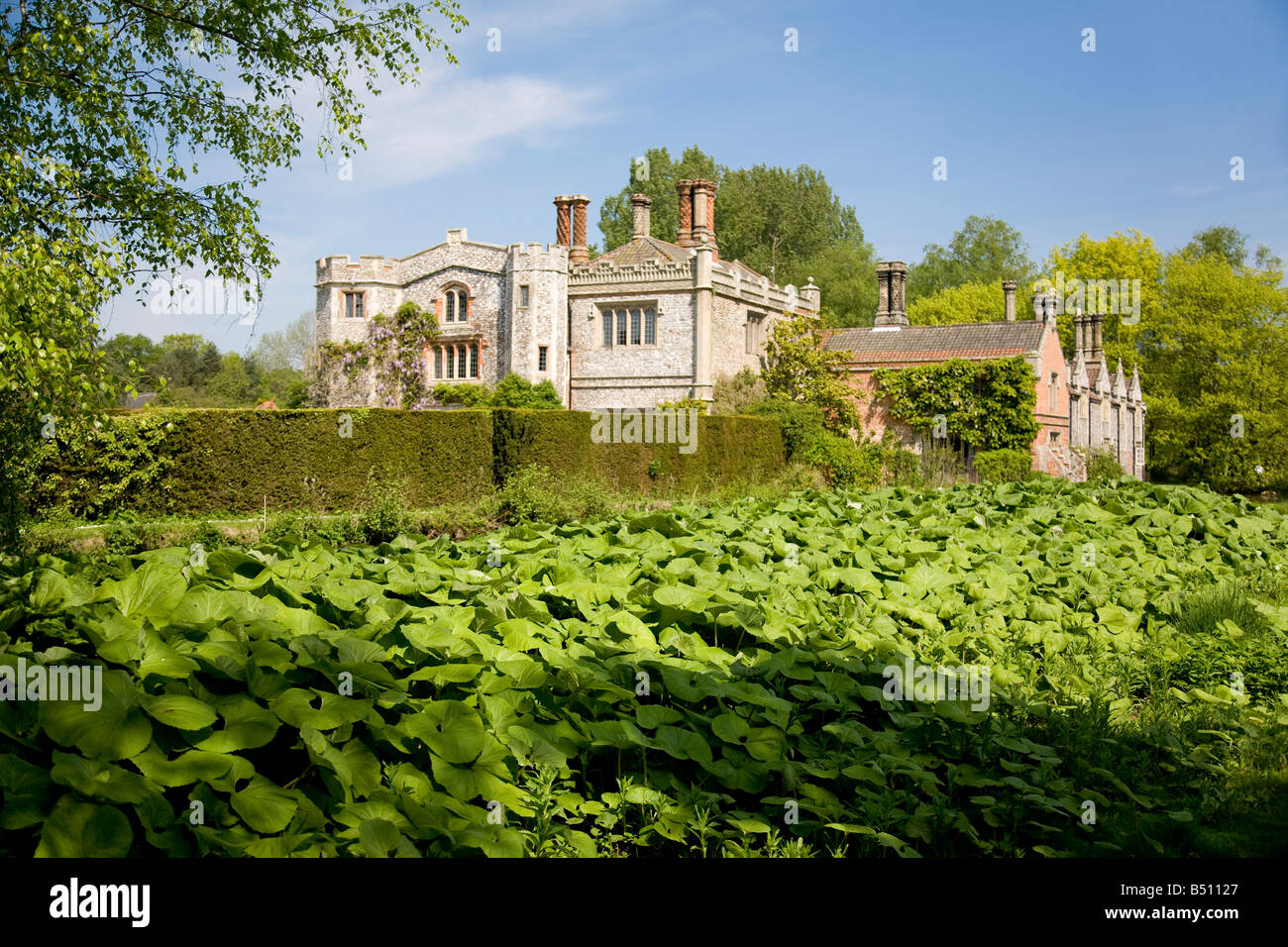 Mannington hall gardens hi-res stock photography and images - Alamy
