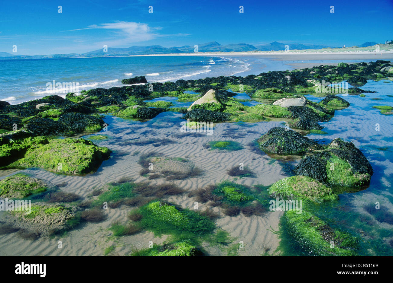 Harlech Beach Gwynedd North Wales Stock Photo - Alamy