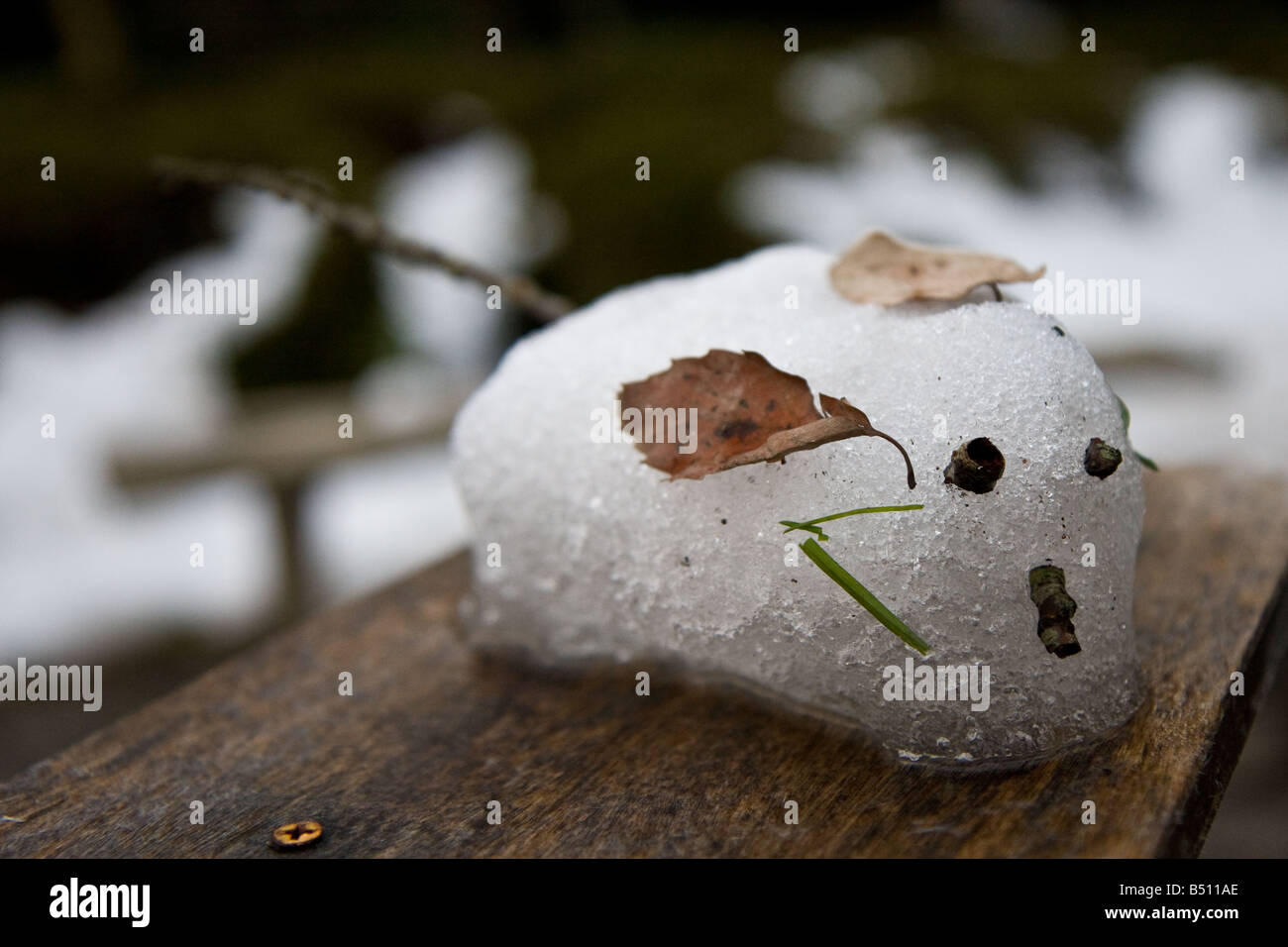 Snow mouse hi-res stock photography and images - Alamy