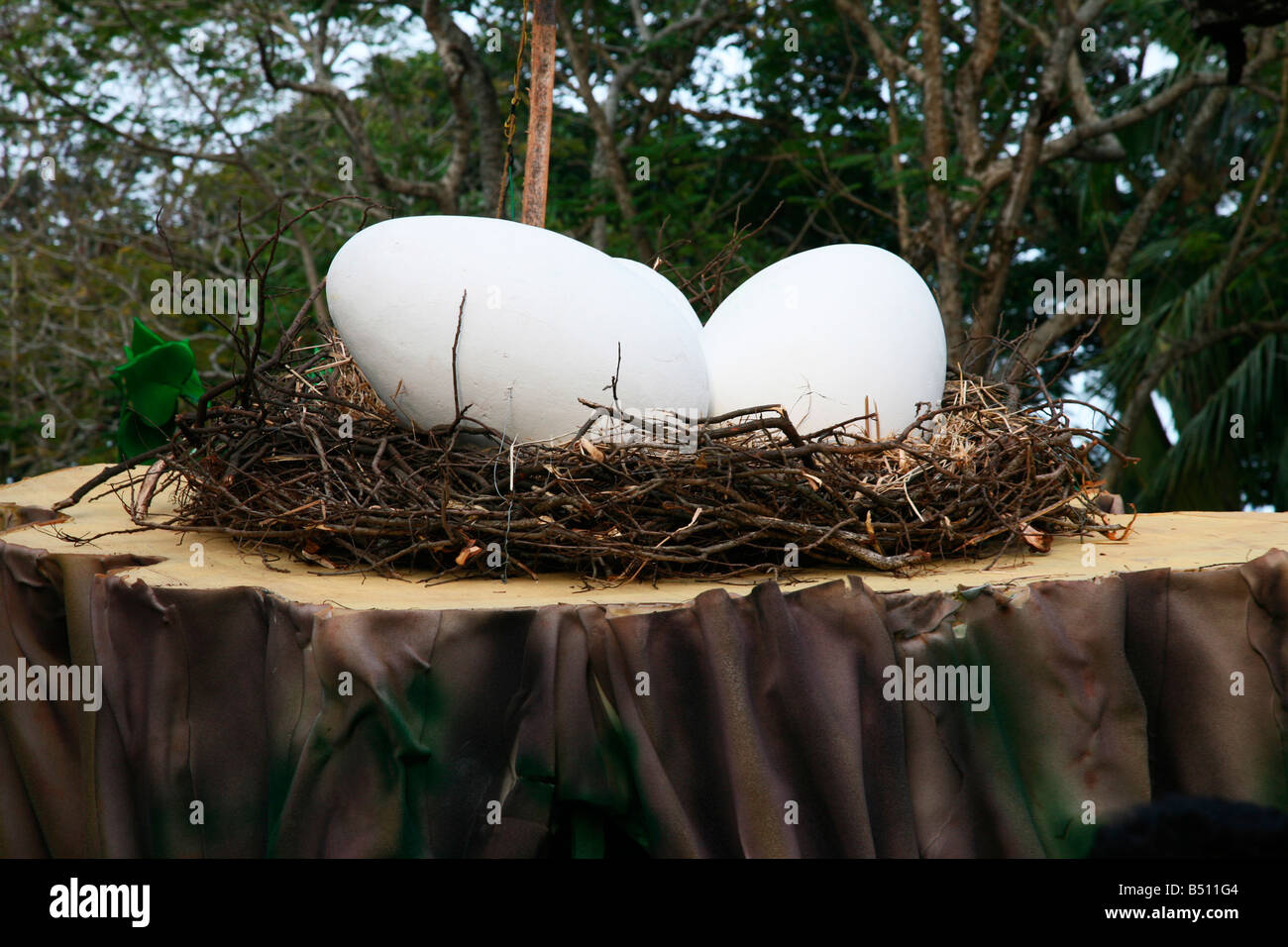 Polutry hi-res stock photography and images - Alamy