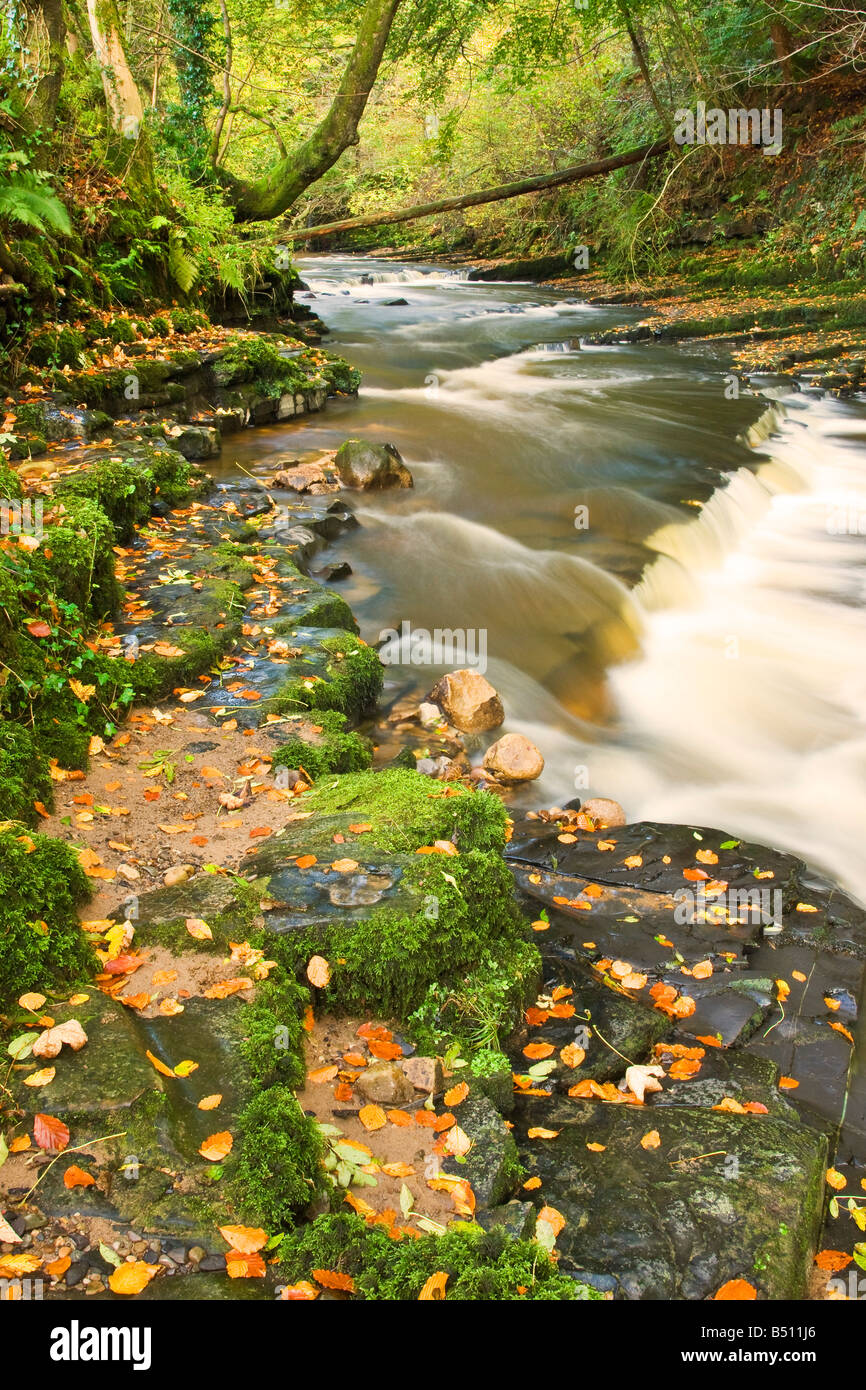 River brock hi-res stock photography and images - Alamy