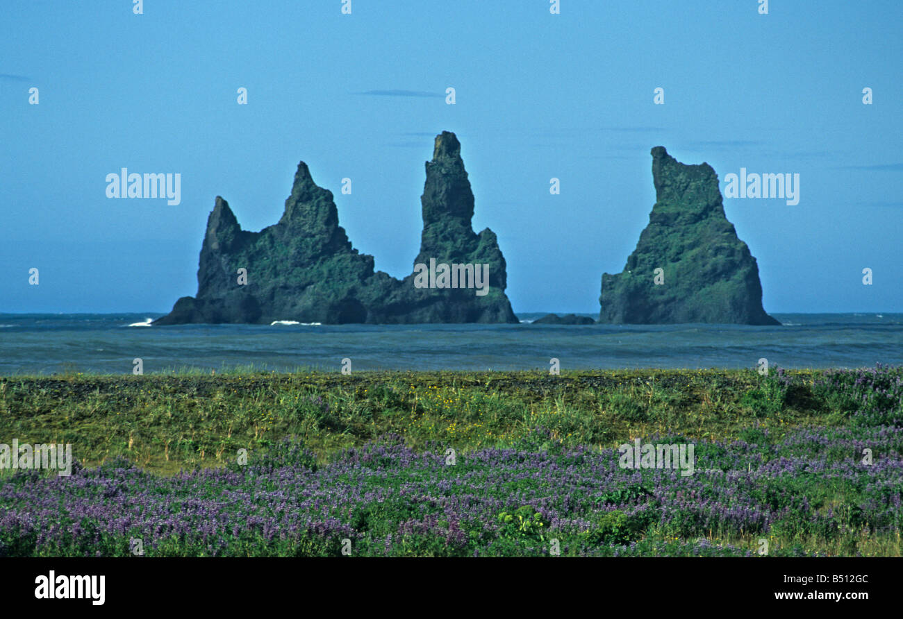 Reynisdrangar rock formations, Vik, Iceland Stock Photo - Alamy
