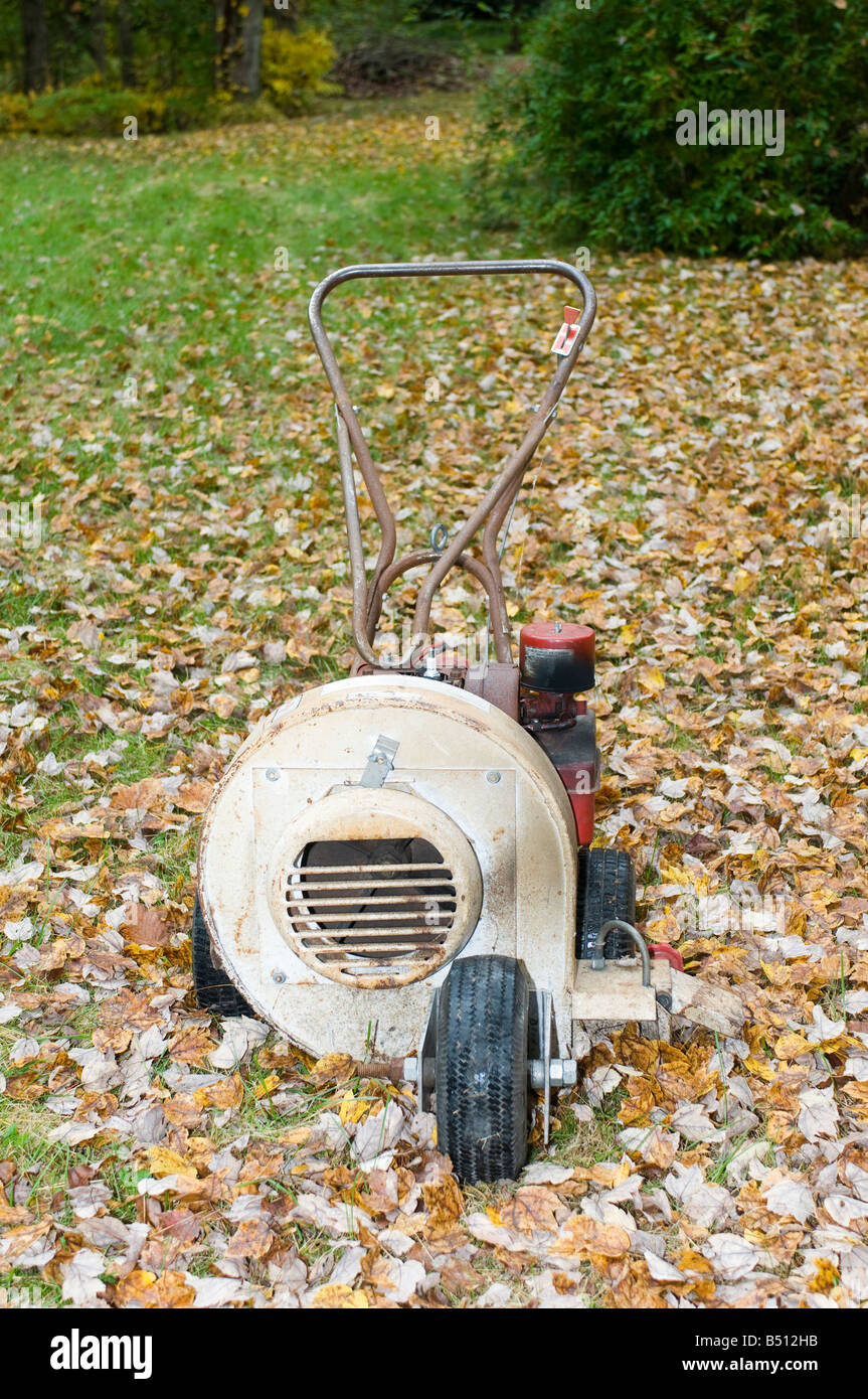 Leafblower hi-res stock photography and images - Alamy