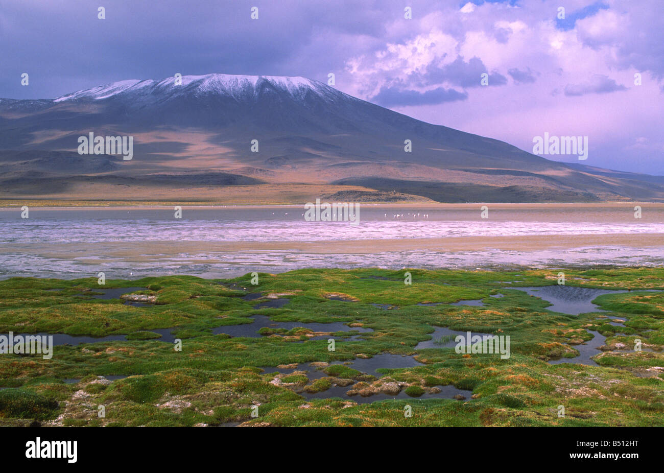 Laguna Colorada, 4,278m above sea level, on the southern altiplano in ...