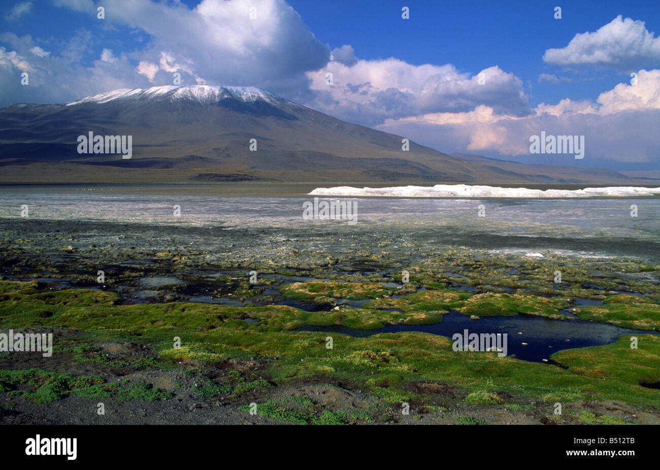 Laguna Colorada, 4,278m above sea level, on the southern altiplano in ...