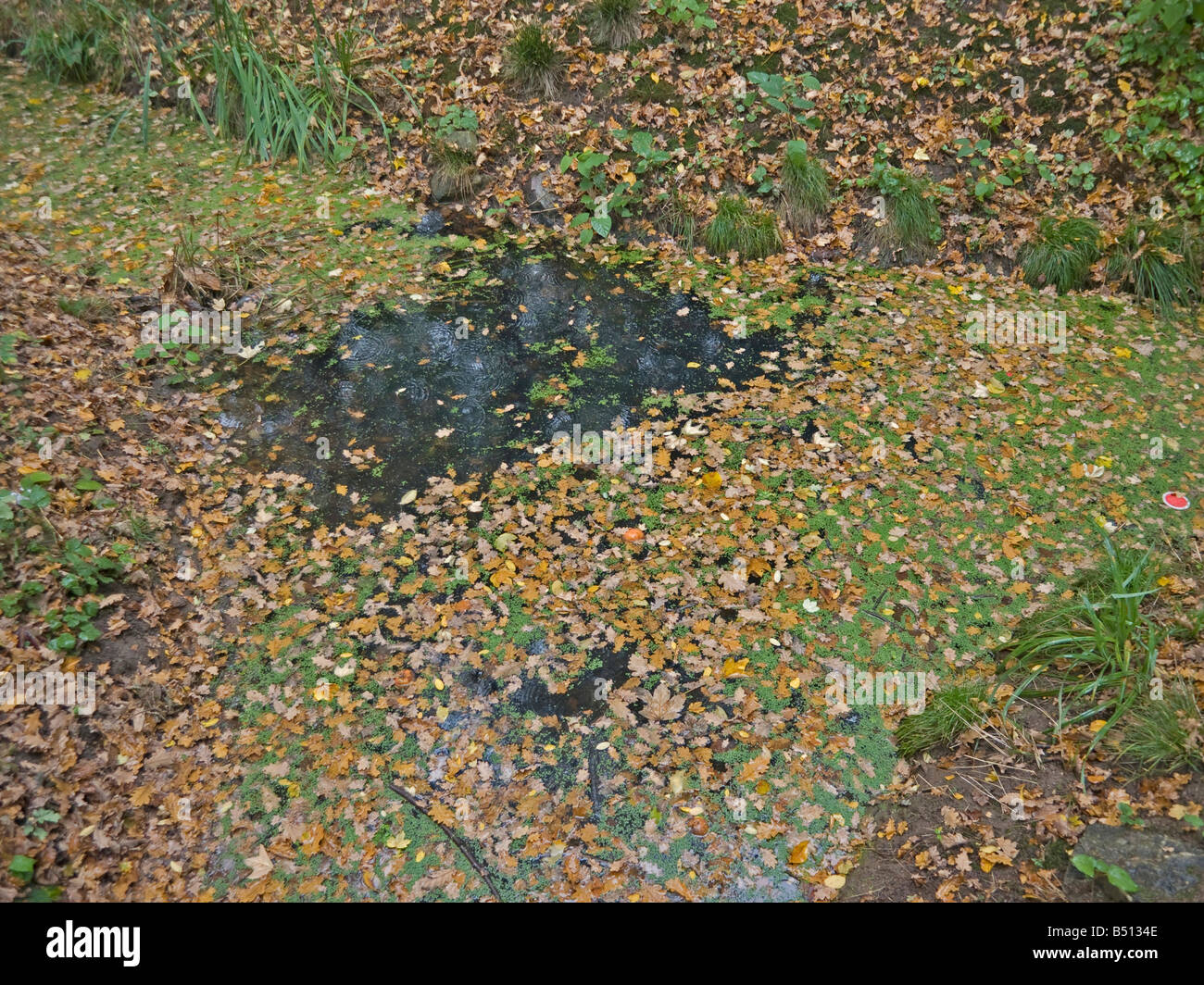 Falling brook hi-res stock photography and images - Alamy