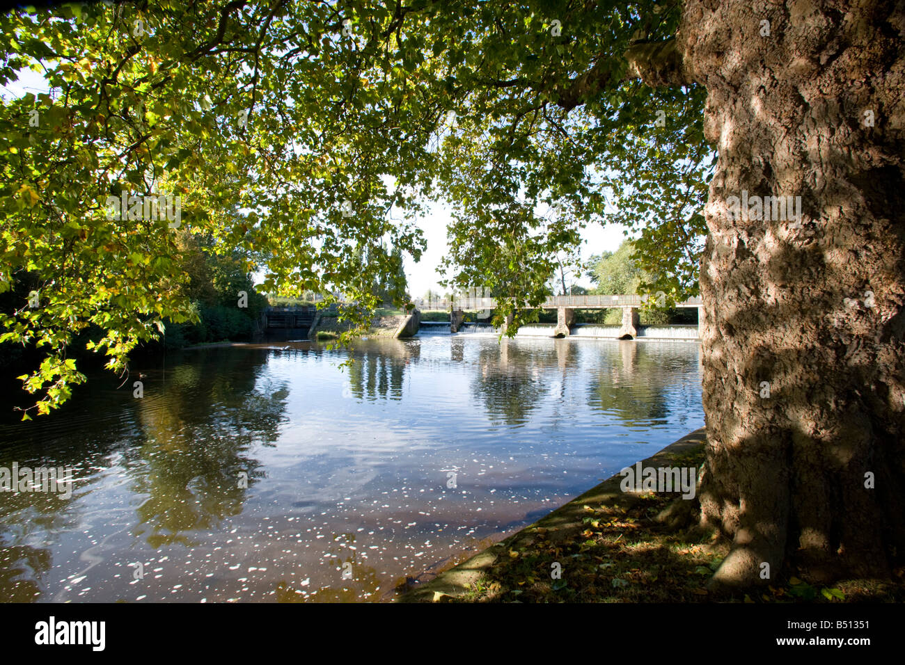 French Weir on the River Tone in Taunton Somerset UK Stock Photo - Alamy