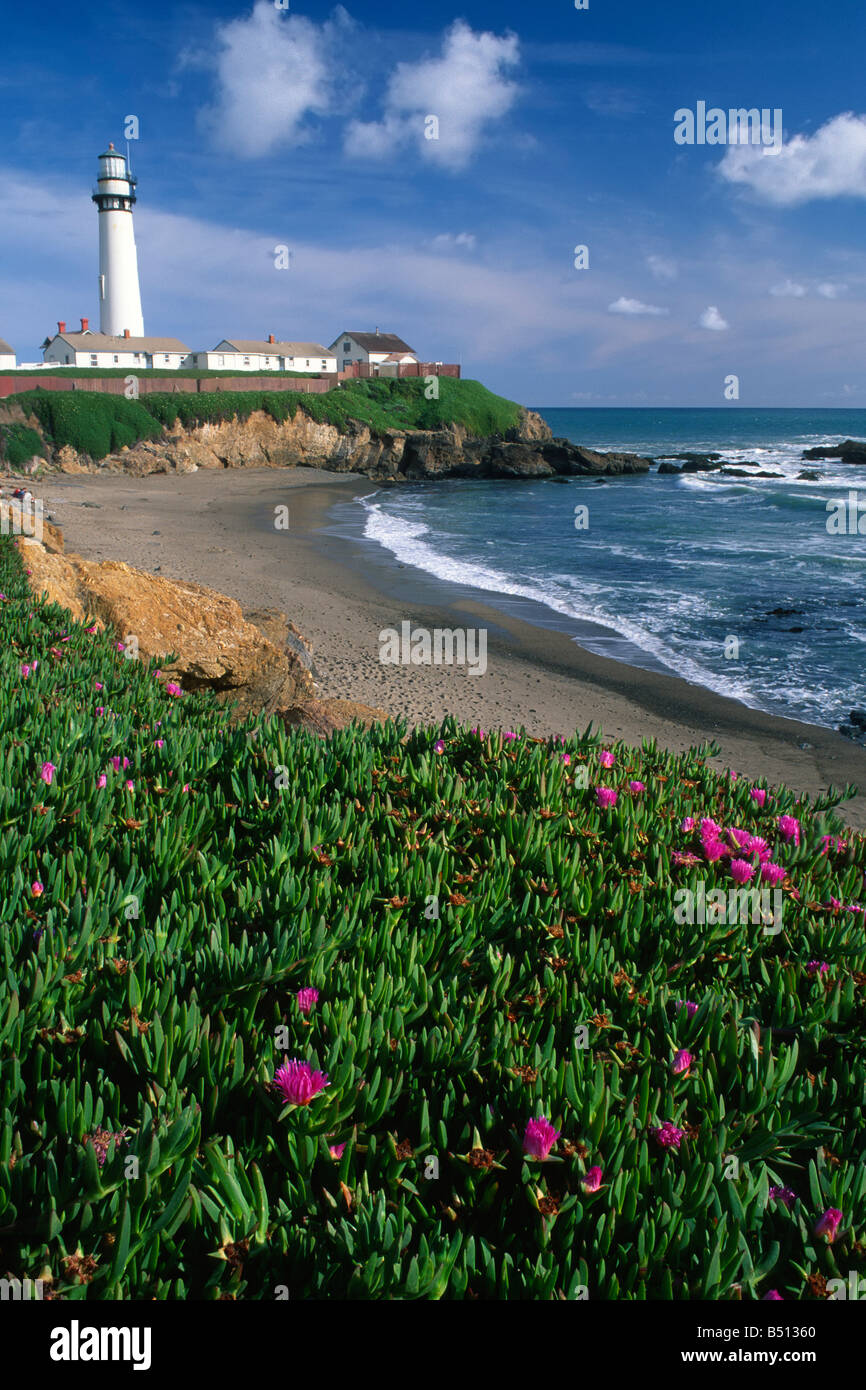 Pigeon Point Lighthouse at Ano Nuevo State Reserve California USA Stock ...