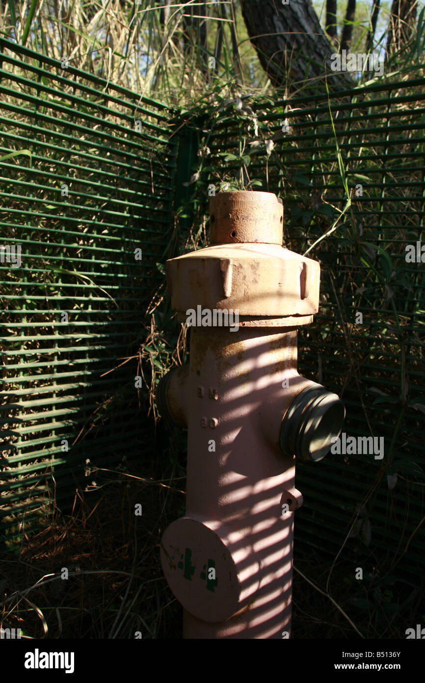 water hydrant in woods forest in countryside Stock Photo - Alamy