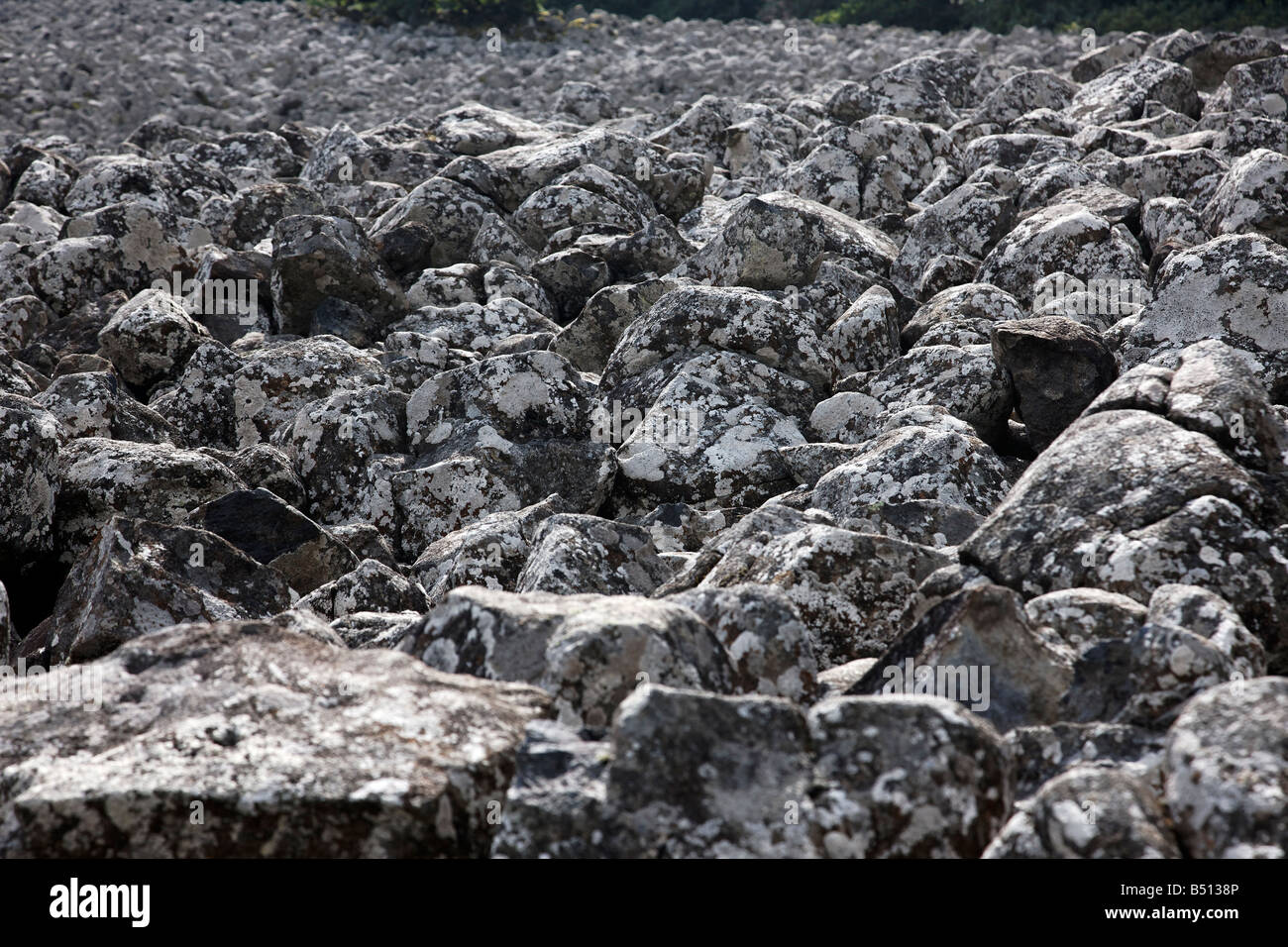 Stone boulders of a historic basalt rock flow La Coulée de Lave, St ...