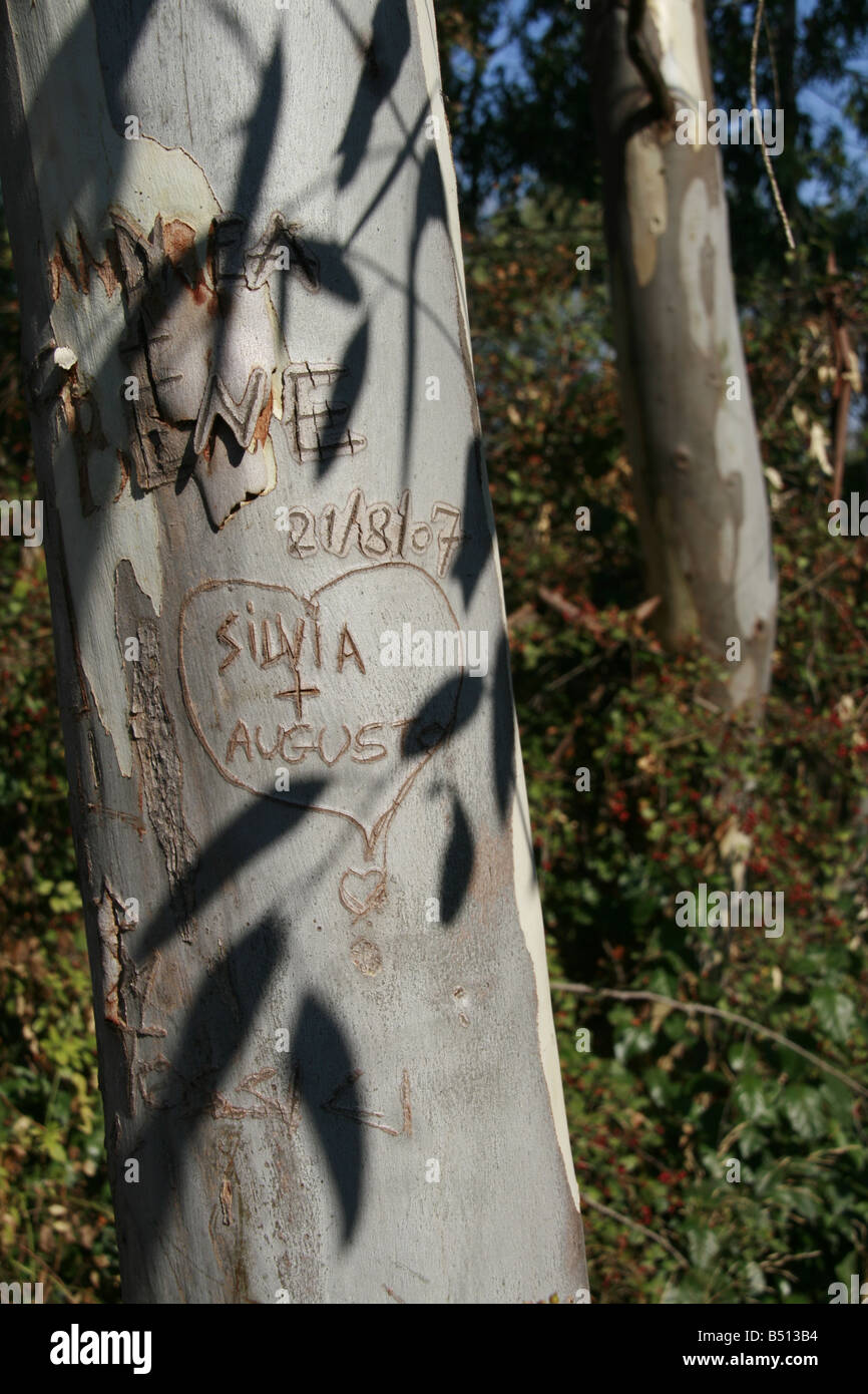 Lovers names on tree hi-res stock photography and images - Alamy