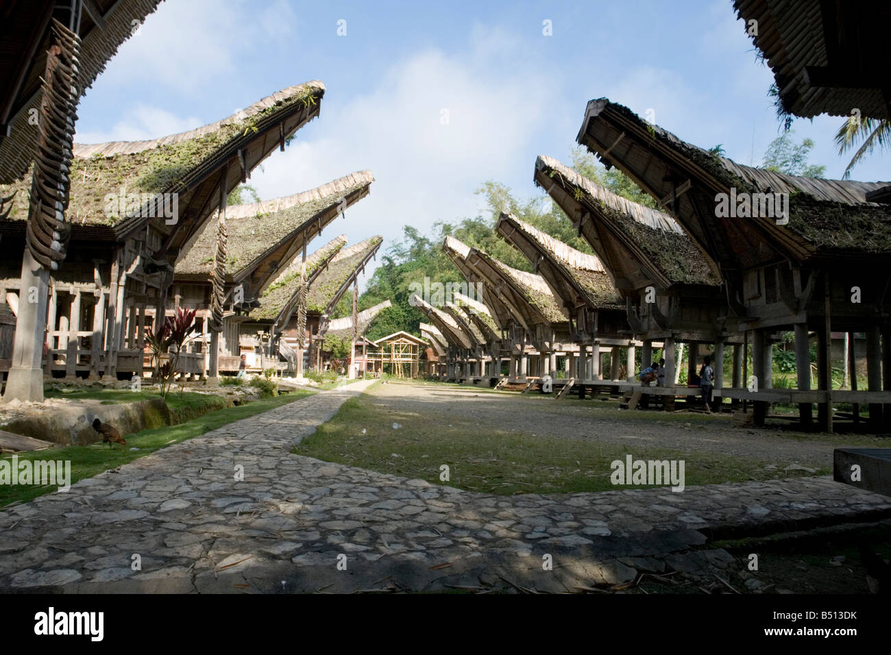 Traditional Torajan houses at Ke'te Kesu (Sulawesi - Indonesia ...