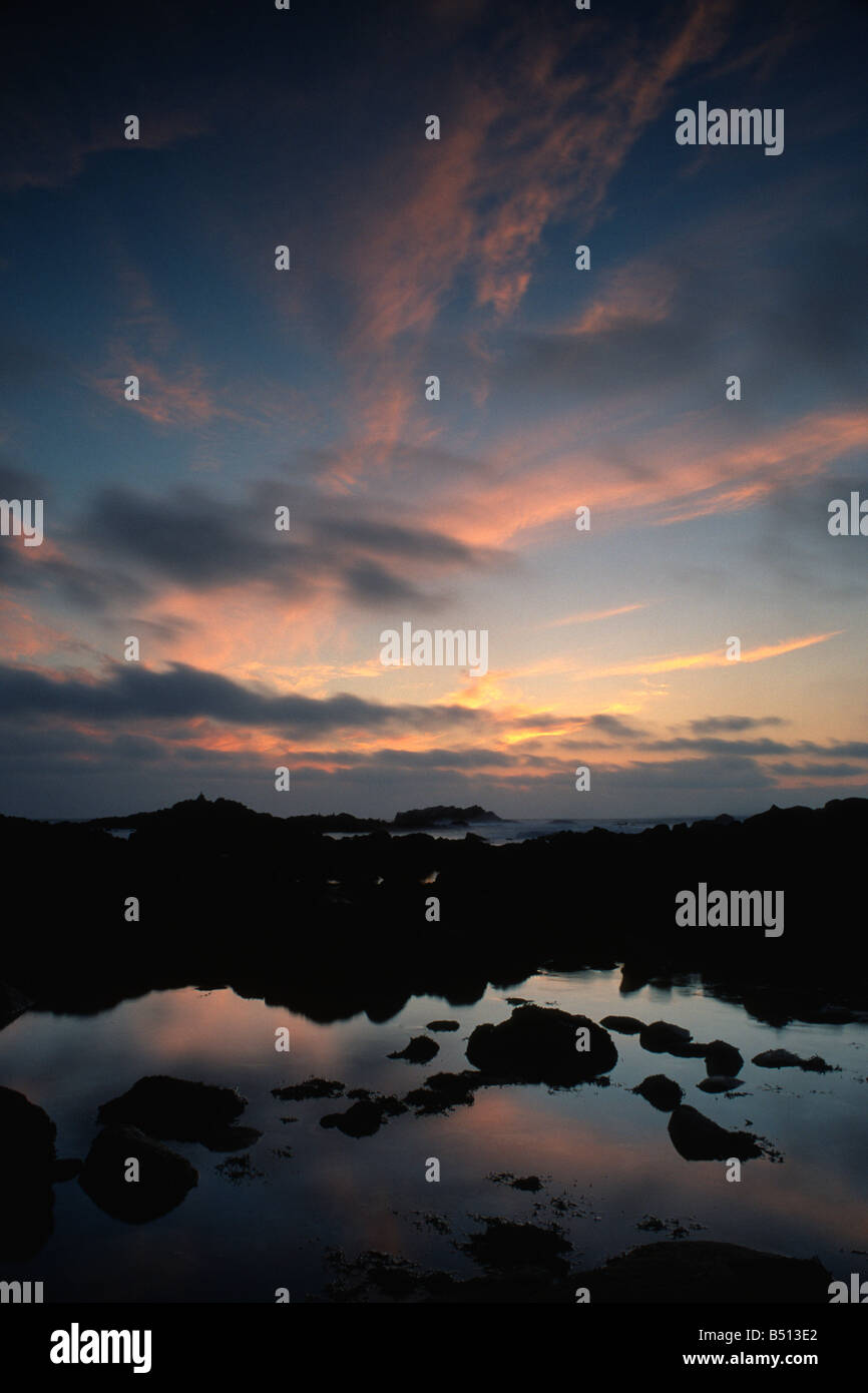 Sunset reflected in tidal pool along California Coast Stock Photo - Alamy